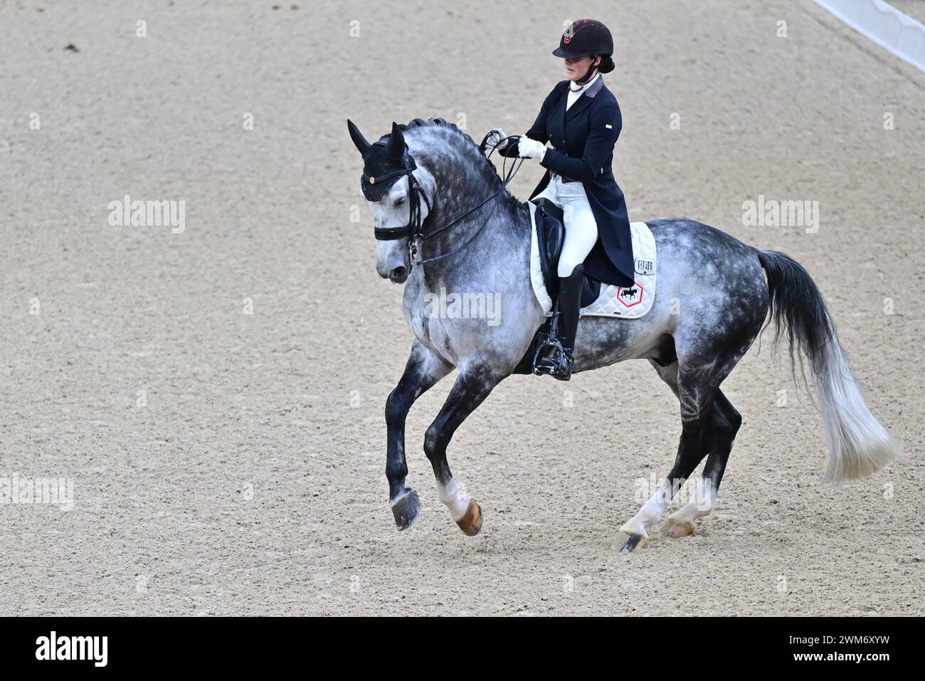 20240224thamar hi-res stock photography and images - Alamy