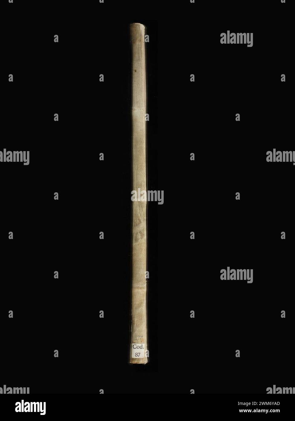 Cod. 87, Spine – (Pseudo-Boethius Geometria, Excerpta Agrimensorum ...