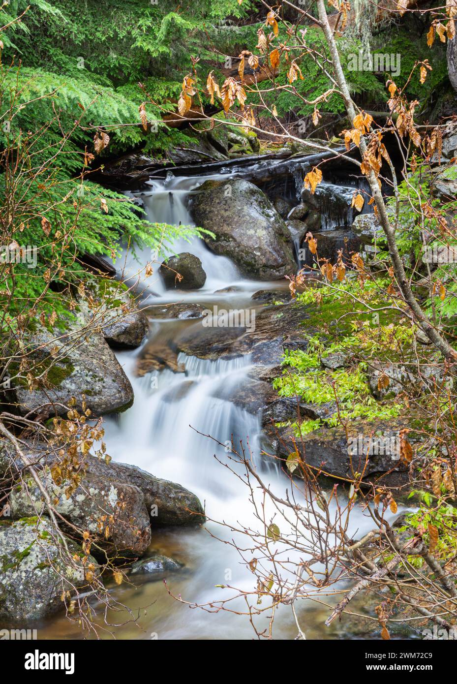 Bonners ferry idaho hi-res stock photography and images - Alamy