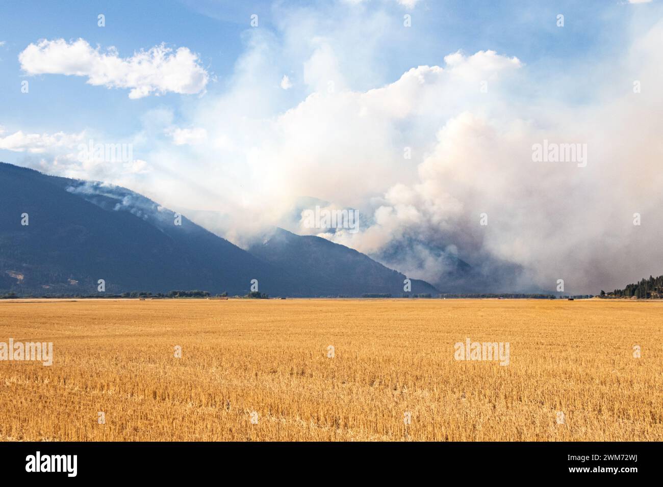 Wildfire smoke flames burning idaho hi-res stock photography and images ...