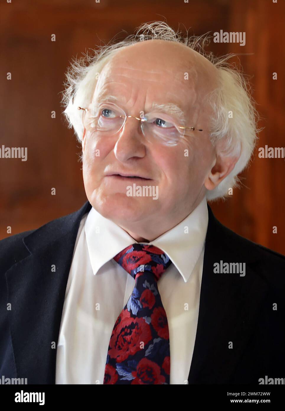 Michael D Higgins. Portrait of the President of Ireland, Michael Daniel ...