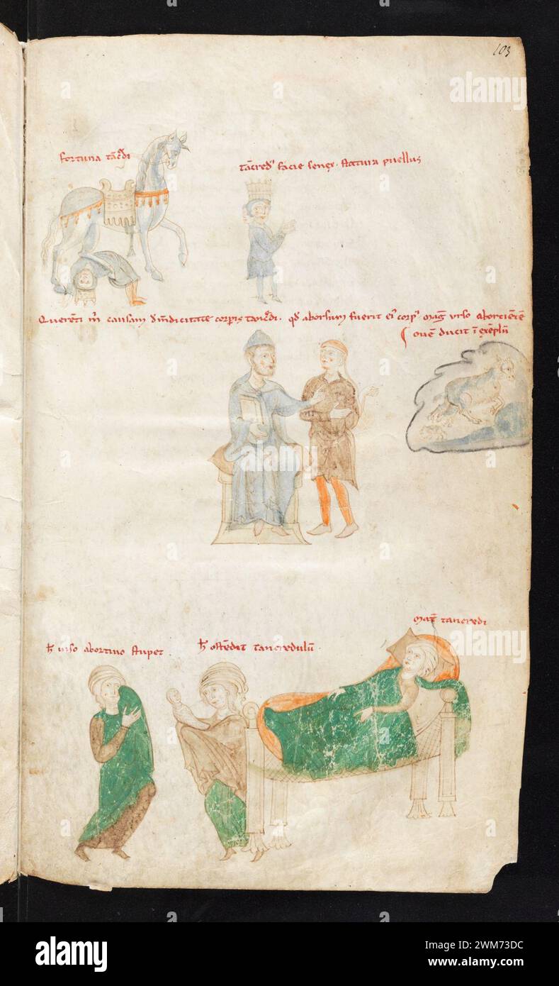 Cod. 120.II, f. 103r – Petrus de Ebulo Liber ad honorem Augusti, lat ...