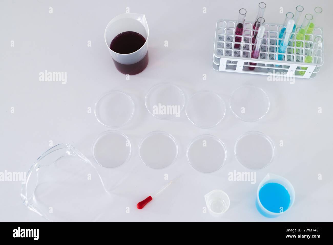 Laboratory setup with petri dishes and test tubes on a white surface ...
