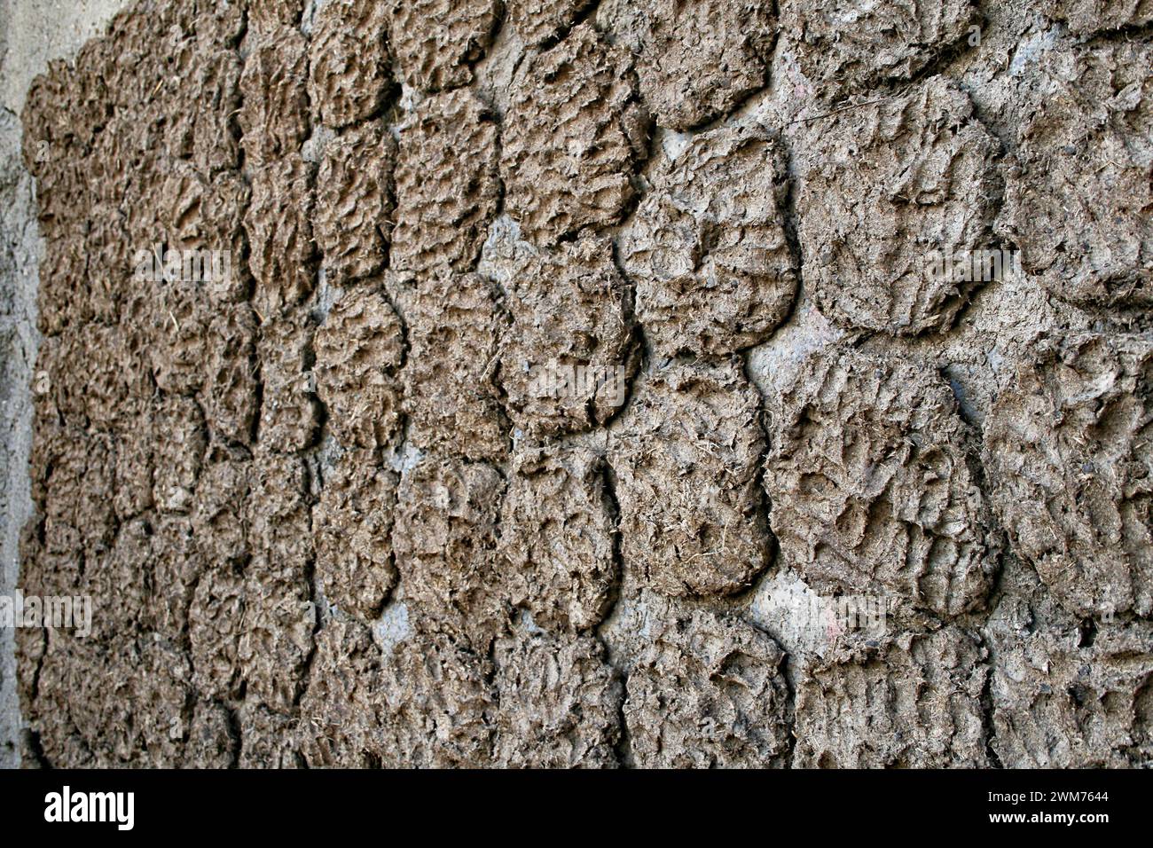 Cooking uses yak dung hi-res stock photography and images - Alamy