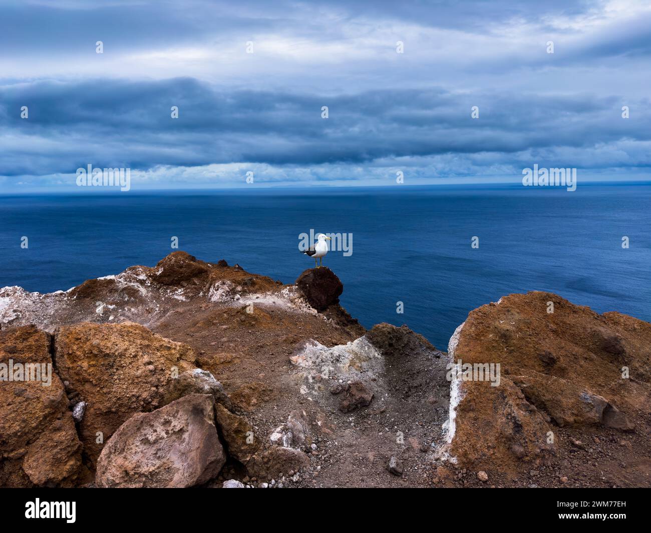 An aerial View from Cliffs over Atlantic ocean Stock Photo - Alamy
