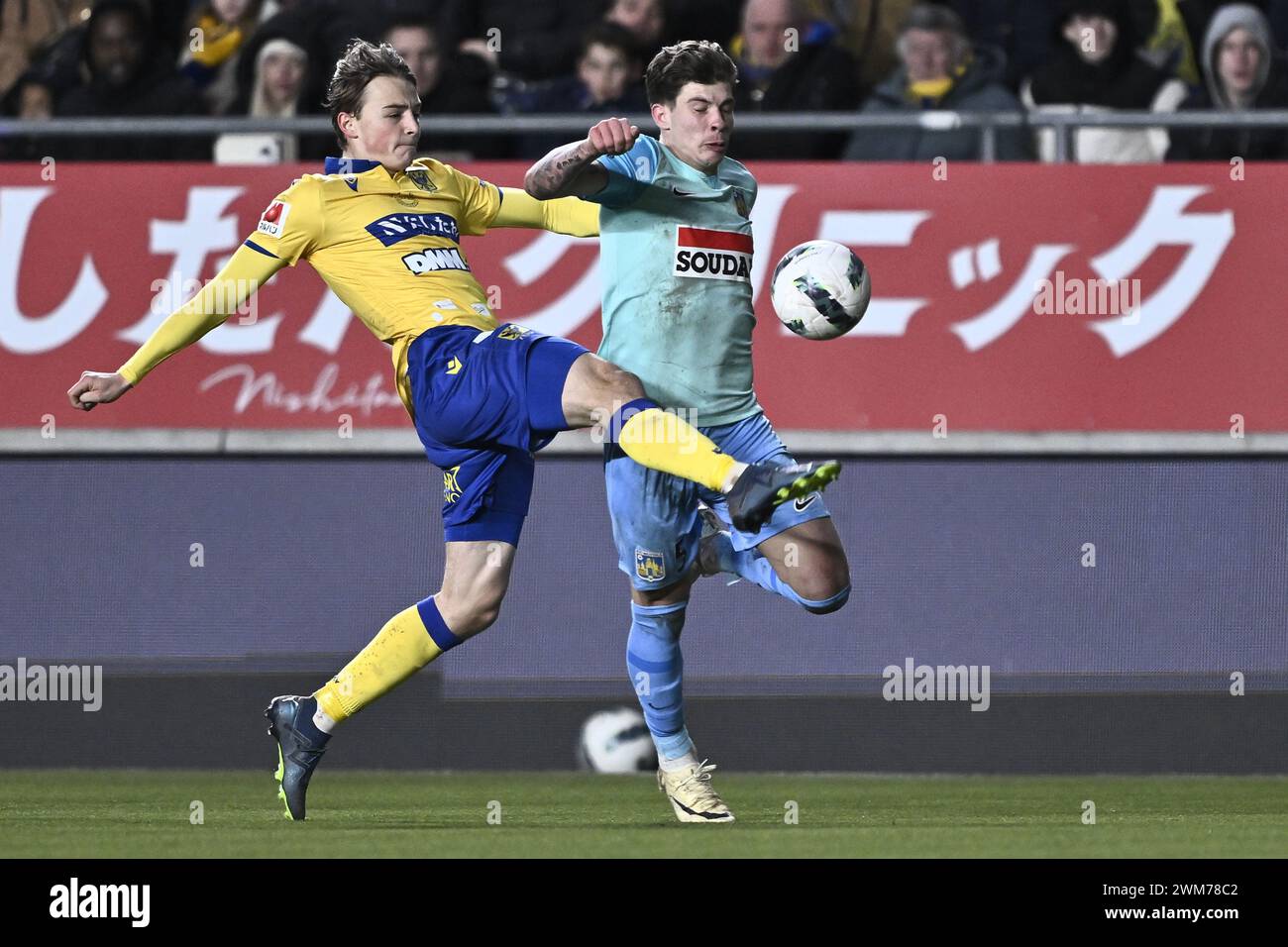 Matte smets hi-res stock photography and images - Alamy