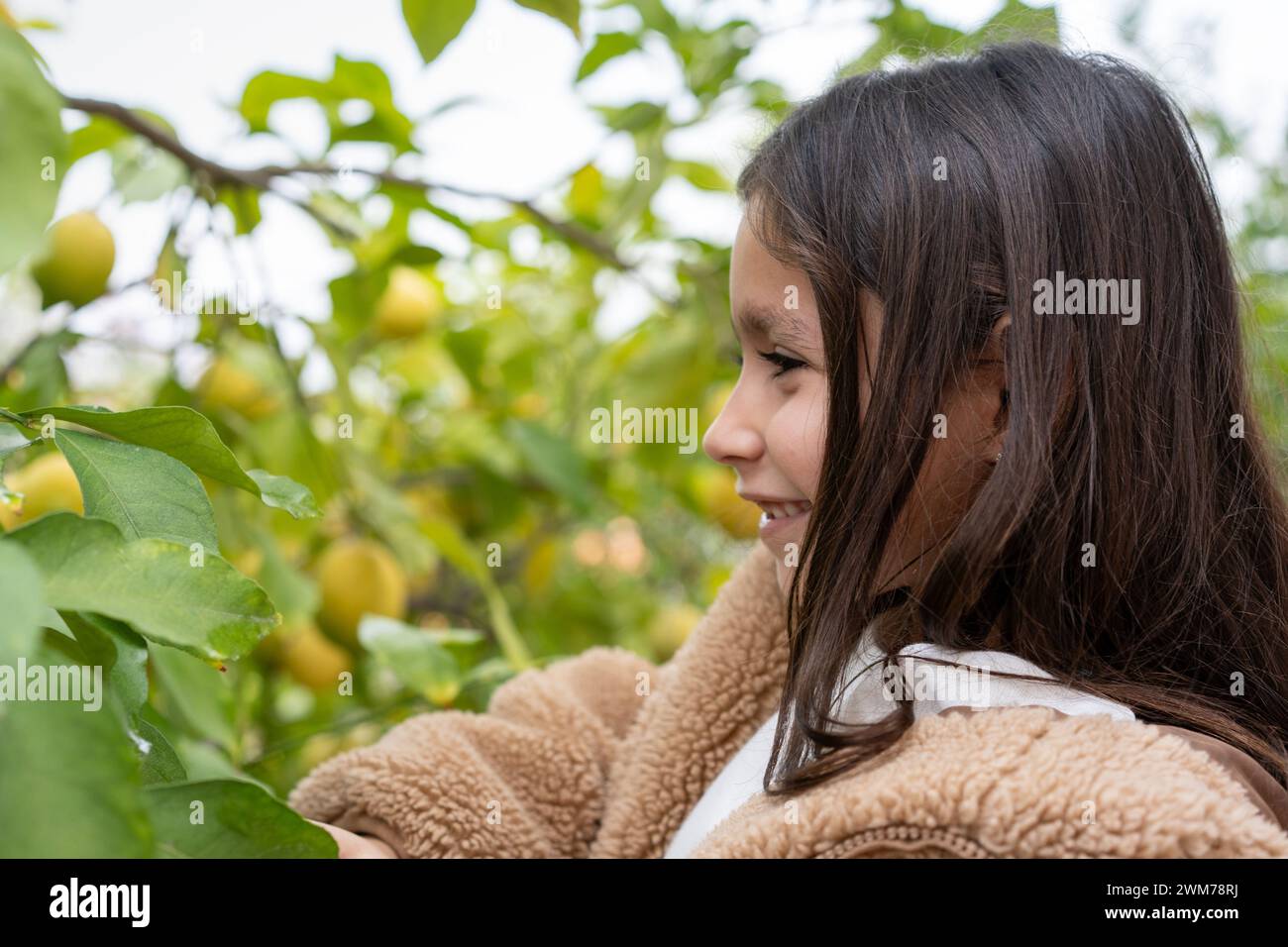 Smiling girl surrounded by lemon trees, enjoying the beauty of the ...