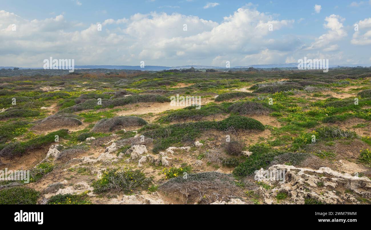 No israel hi-res stock photography and images - Alamy