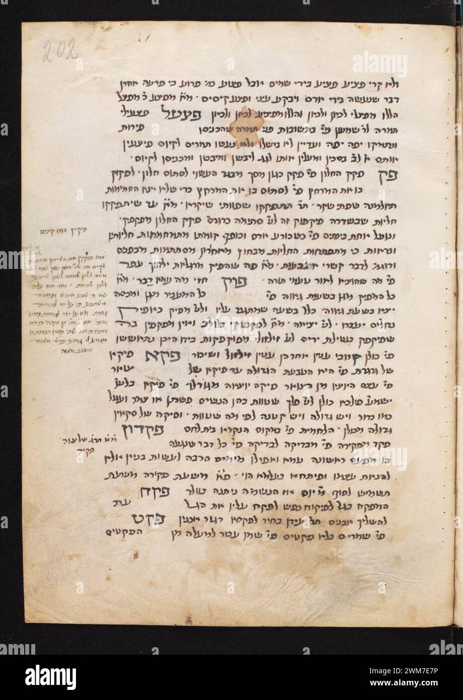 Cod. 200, f. 202r – Lexicographical and scientific miscellany Stock ...