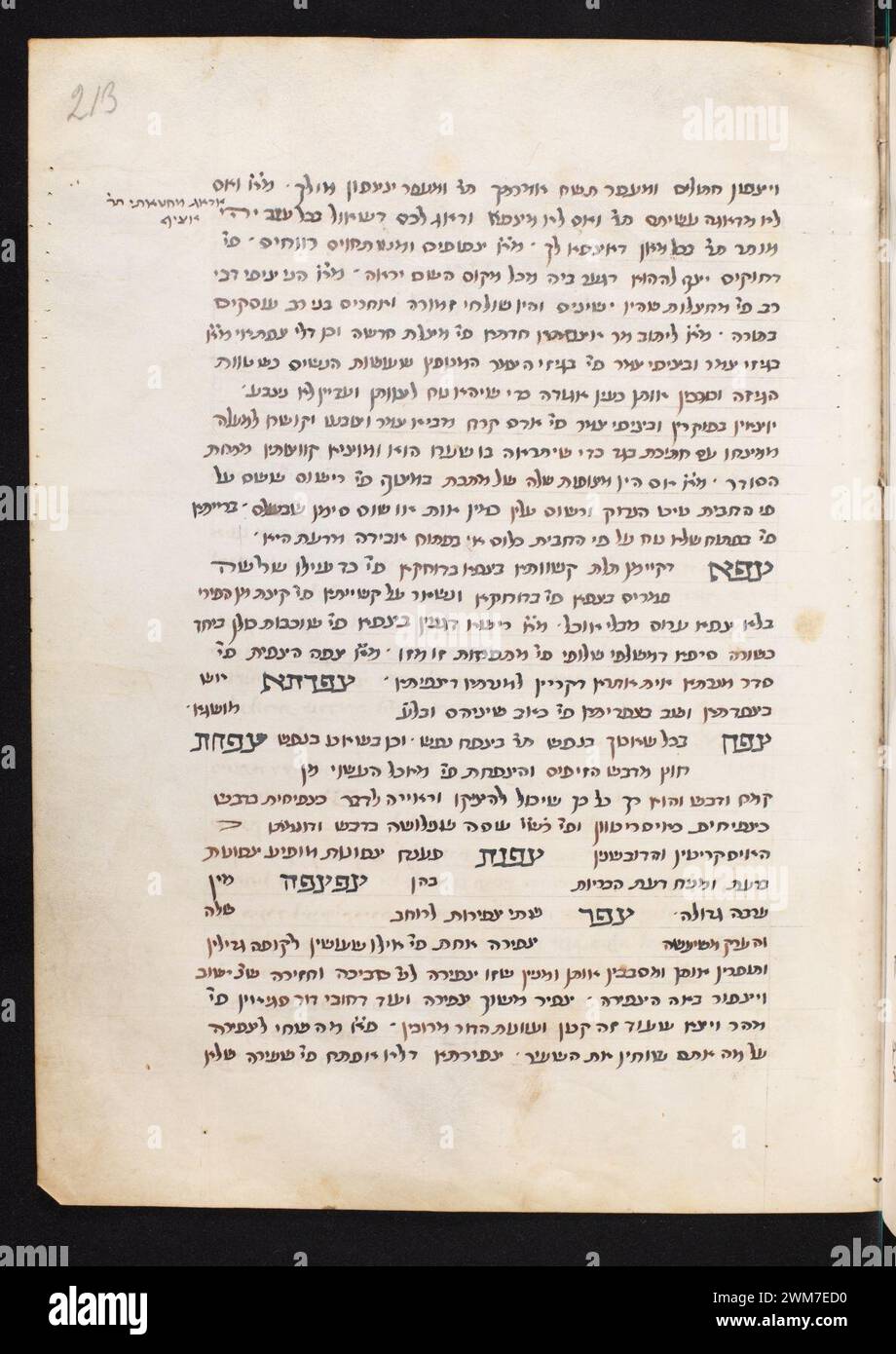 Cod. 200, f. 213r – Lexicographical and scientific miscellany Stock ...