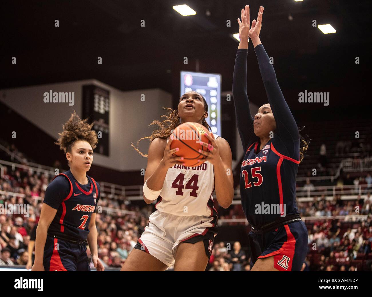 Maples Pavilion Palo Alto, CA. 23rd Feb, 2024. U.S.A. Stanford forward ...