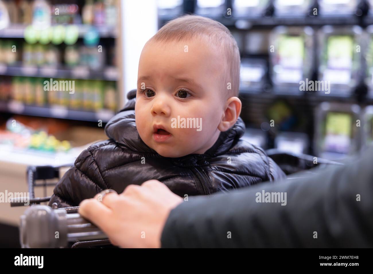 Adorable baby boy in a shopping cart at a grocery store Stock Photo - Alamy