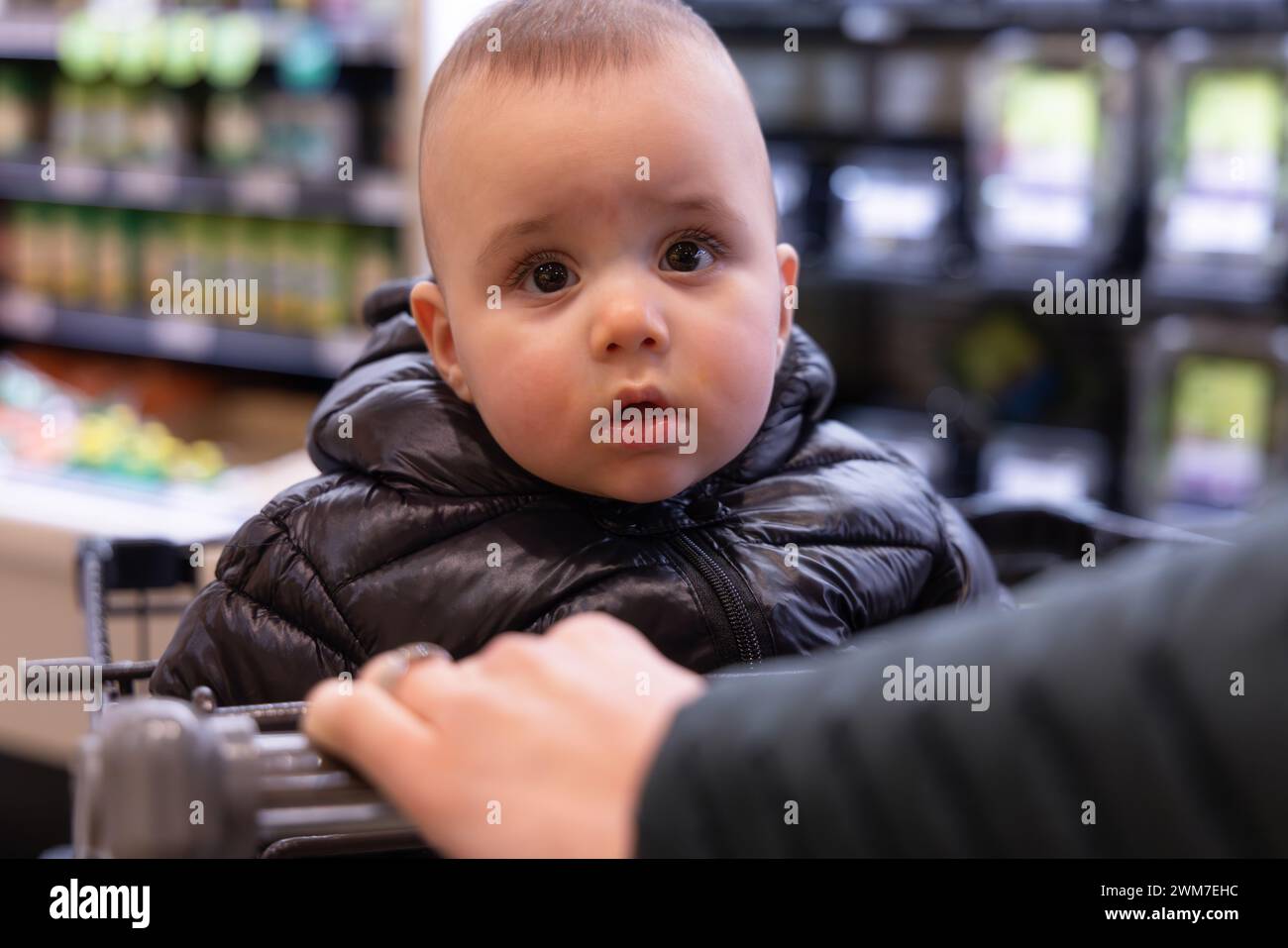 Adorable baby boy in a shopping cart at a grocery store Stock Photo - Alamy