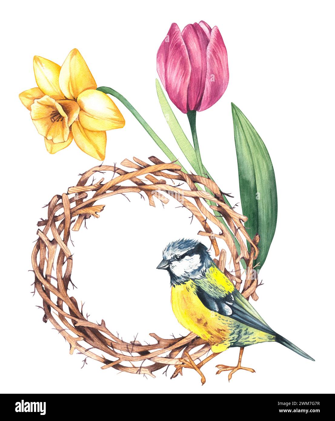 Watercolor titmouse with flowers on a white background. Spring wreath ...