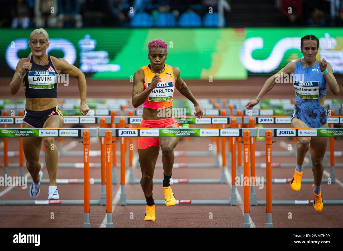 Sarah kate lavin hi-res stock photography and images - Alamy