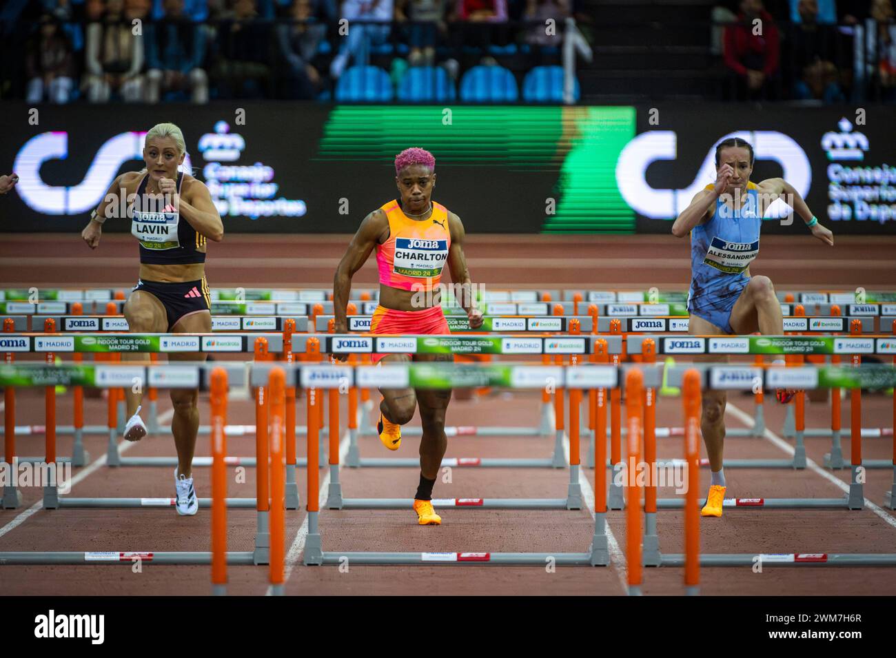 Sarah lavin hi-res stock photography and images - Alamy