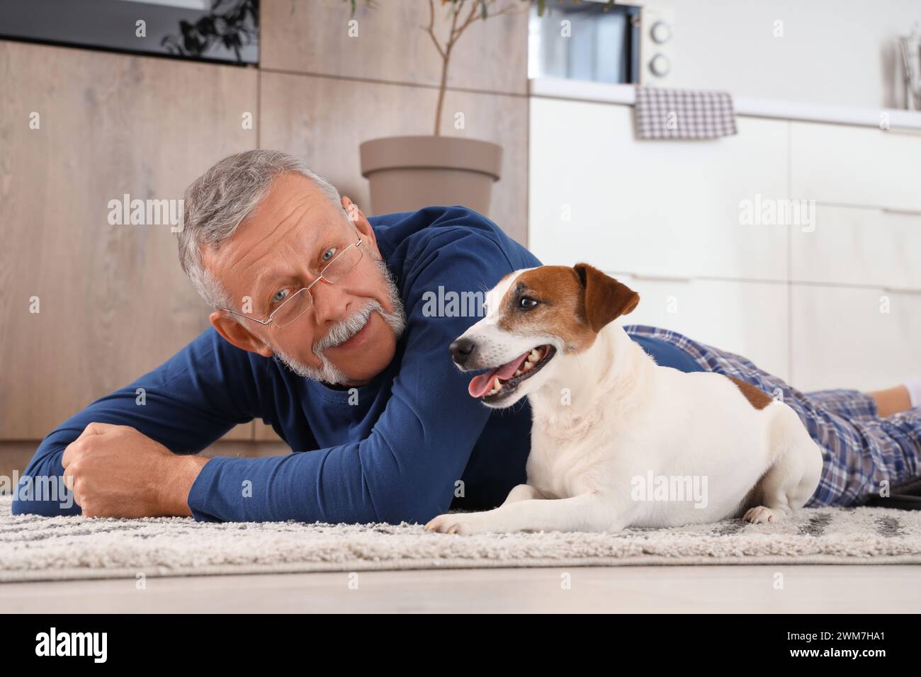 Mature man with cute Jack Russell terrier lying on carpet in kitchen ...