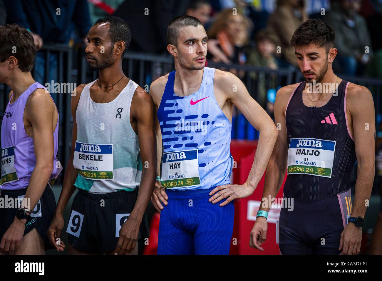 Madrid, Madrid, Spain. 23rd Feb, 2024. MADRID, SPAIN - FEBRUARY 23 ...