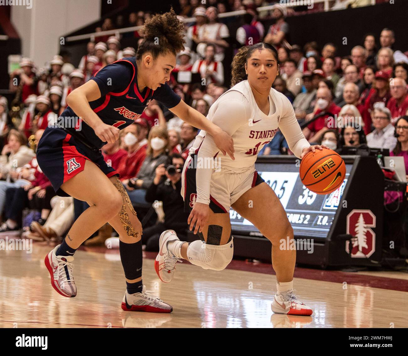 2024 0225 jpg hi-res stock photography and images - Alamy