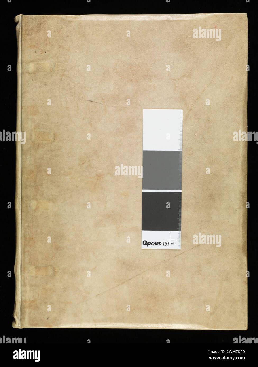 Cod. 219, QP card on binding – Eusebius-Hieronymus Chronicon Stock ... Cod. 219, QP card on binding – Eusebius-Hieronymus Chronicon Stock ...