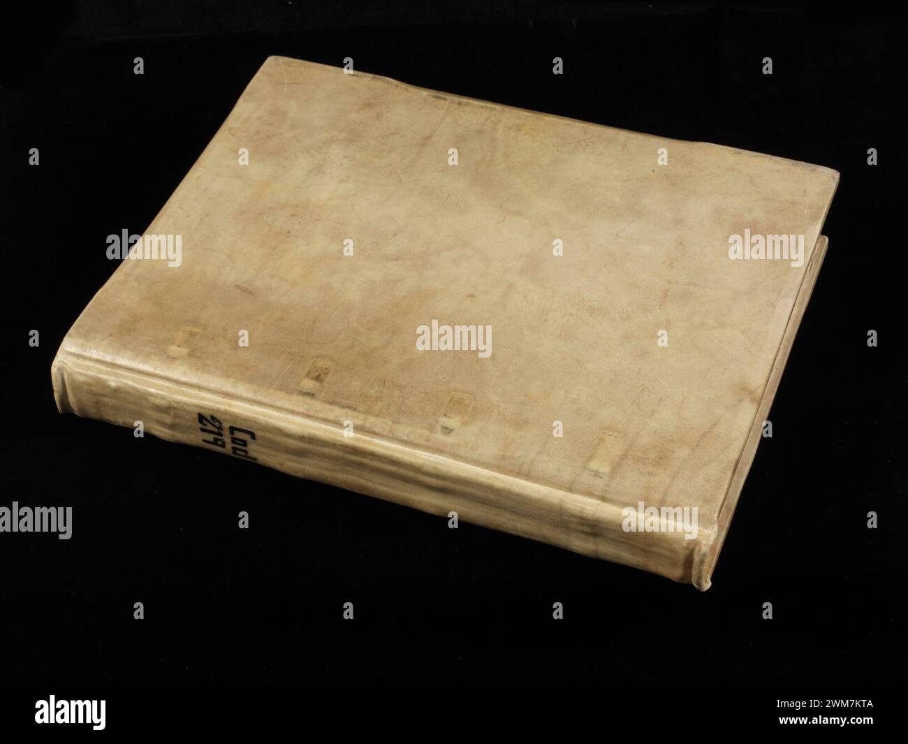 Cod. 219, View back cover – Eusebius-Hieronymus Chronicon Stock Photo ...