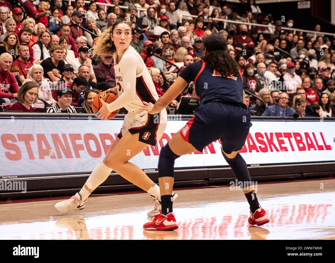 2024 0354 jpg hi-res stock photography and images - Alamy