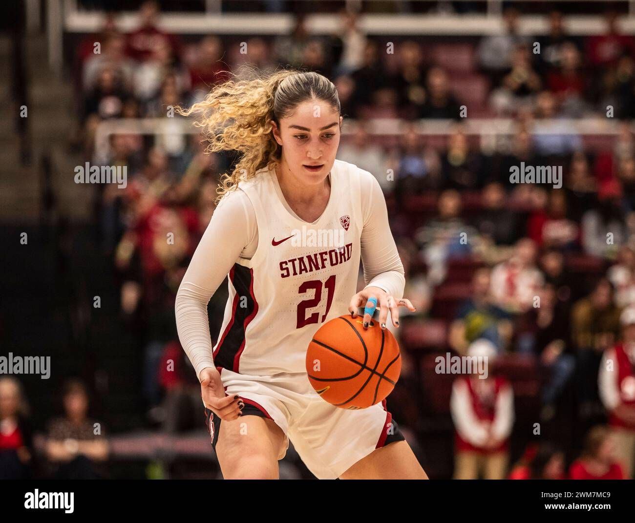 2024 0316 jpg hi-res stock photography and images - Alamy