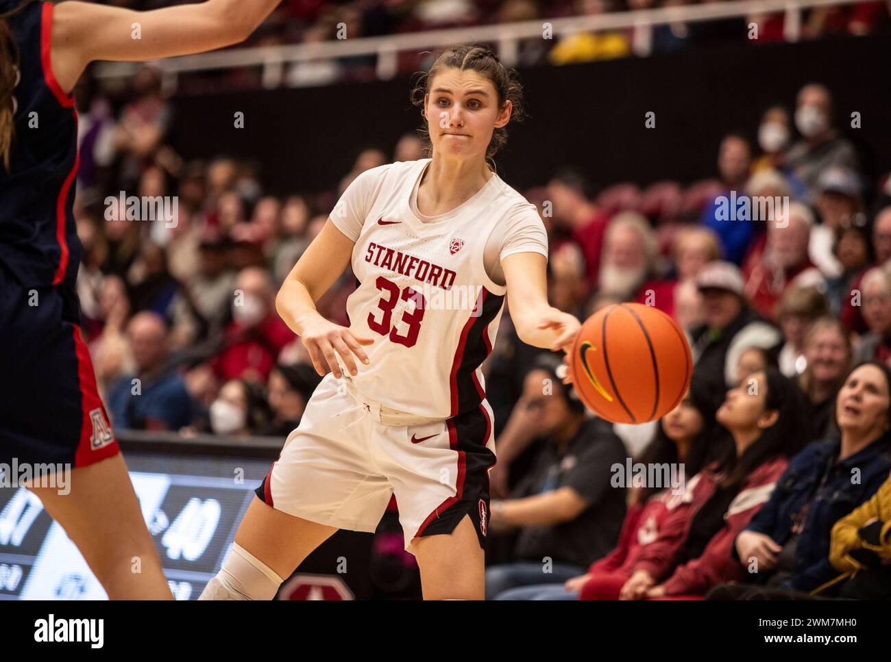 2024 0260 jpg hi-res stock photography and images - Alamy