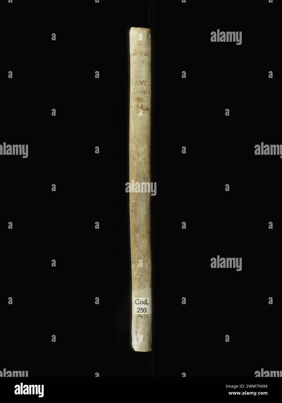 Cod. 250, Spine – Victorinus Aquitanus Calculus, Abbo Floriacensis ...