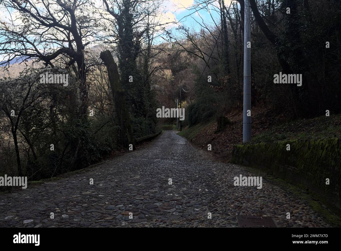 Shady ridge road hi-res stock photography and images - Alamy