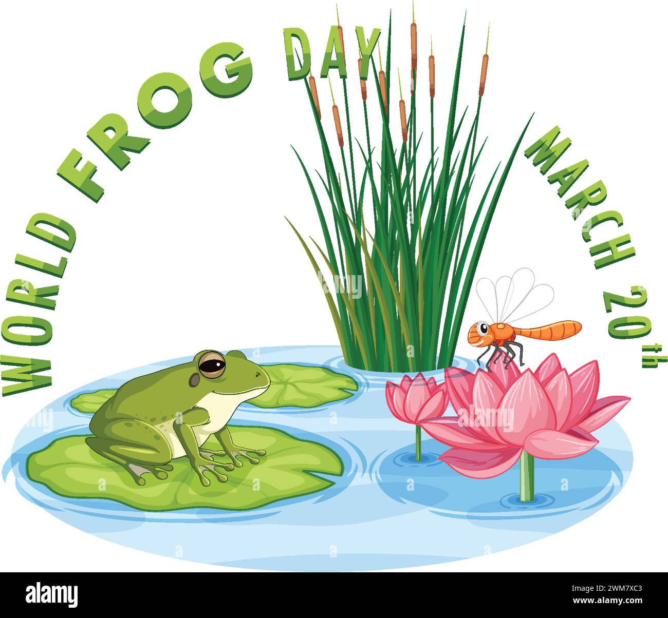 Water lily flower frog Cut Out Stock Images & Pictures - Alamy