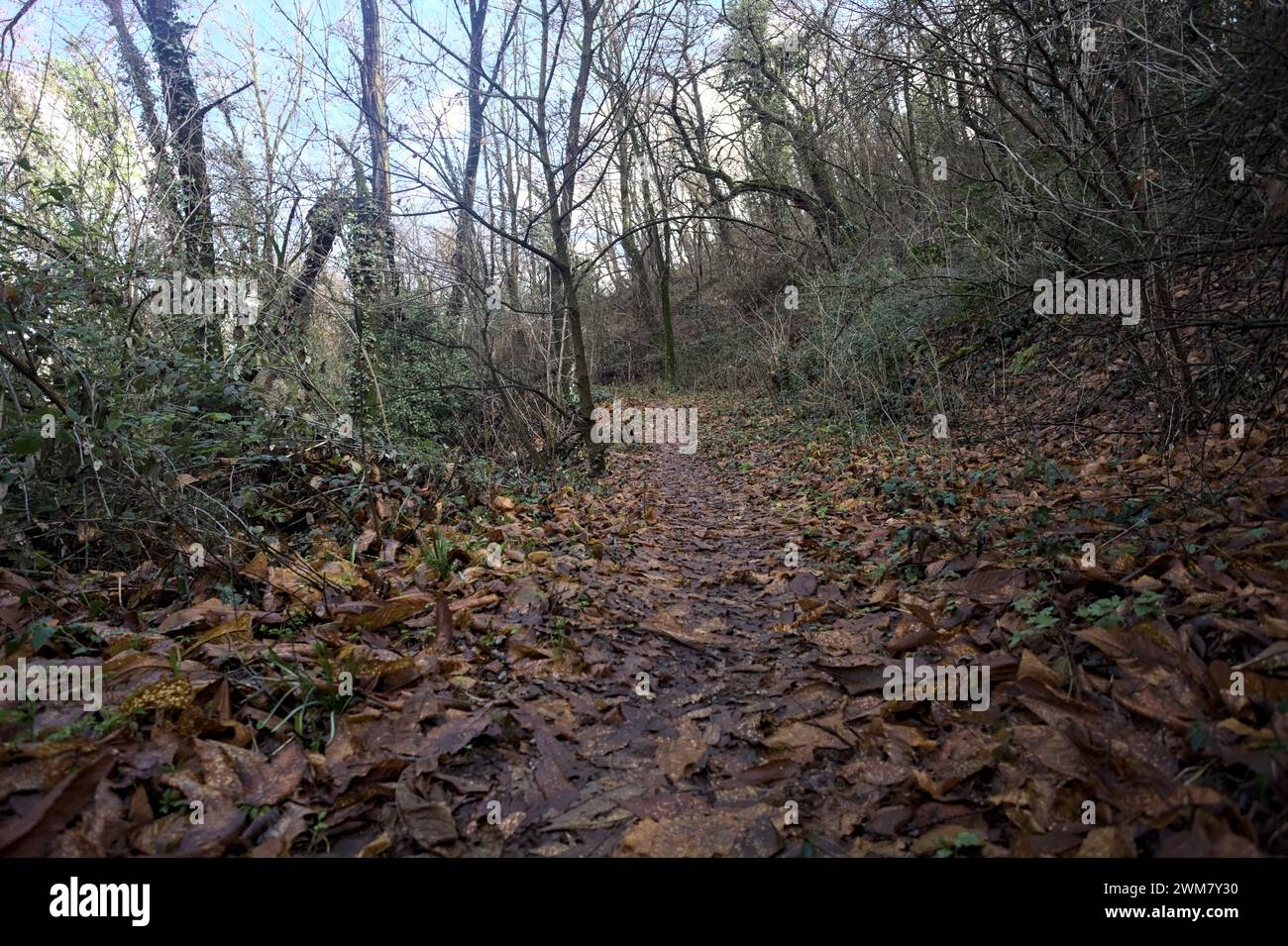 Muddy trail on slope hi-res stock photography and images - Alamy