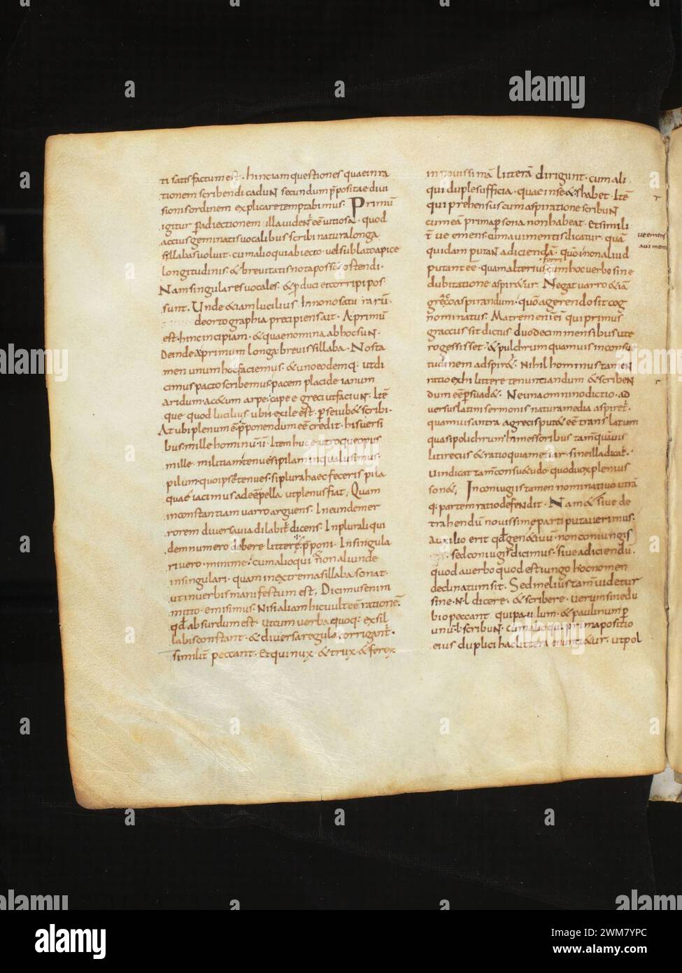 Cod. 330, f. 40v – Composite manuscript Orthography and etymology ...
