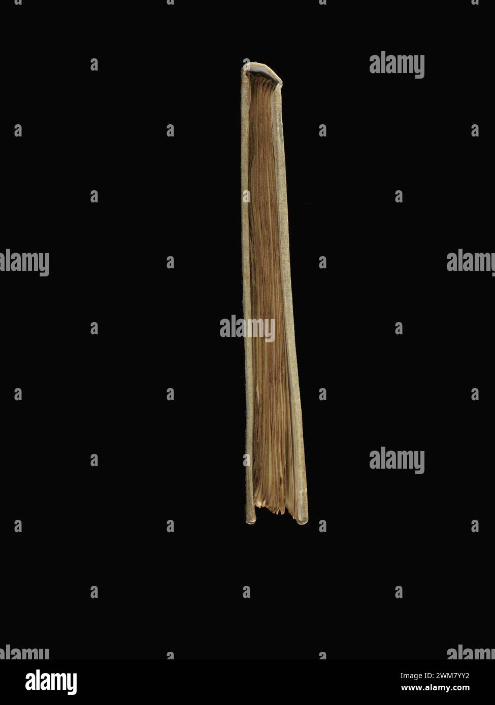 Cod. 330, Tail – Composite manuscript Orthography and etymology, Latin ...