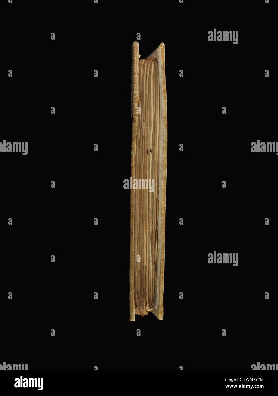 Cod. 330, Fore edge – Composite manuscript Orthography and etymology ...