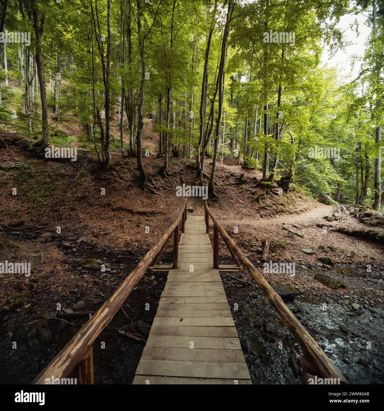 Old footbridge hi-res stock photography and images - Alamy