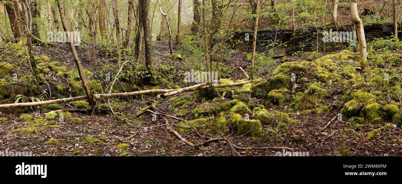 Gateshead mine hi-res stock photography and images - Alamy