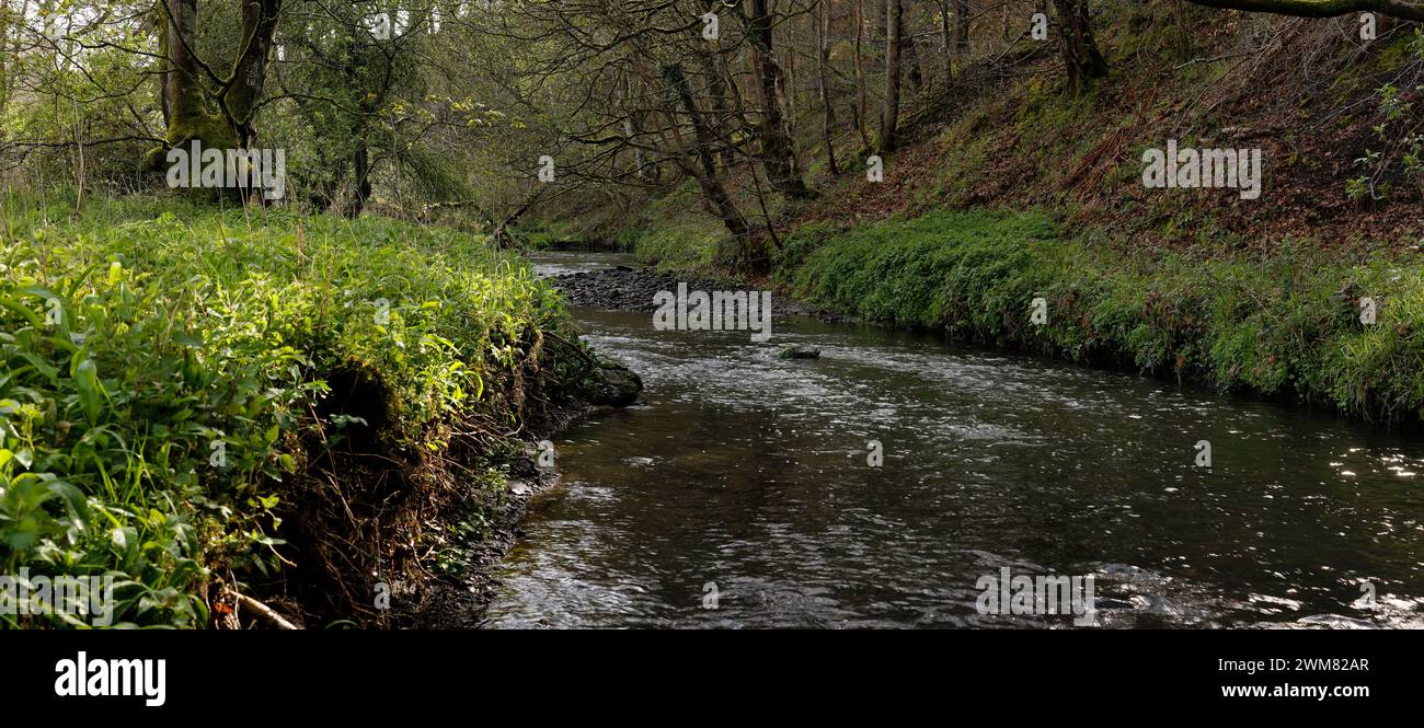 RIVER TEAM - Ousbrough Wood, Gateshead, Tyne & Wear, England Stock ...