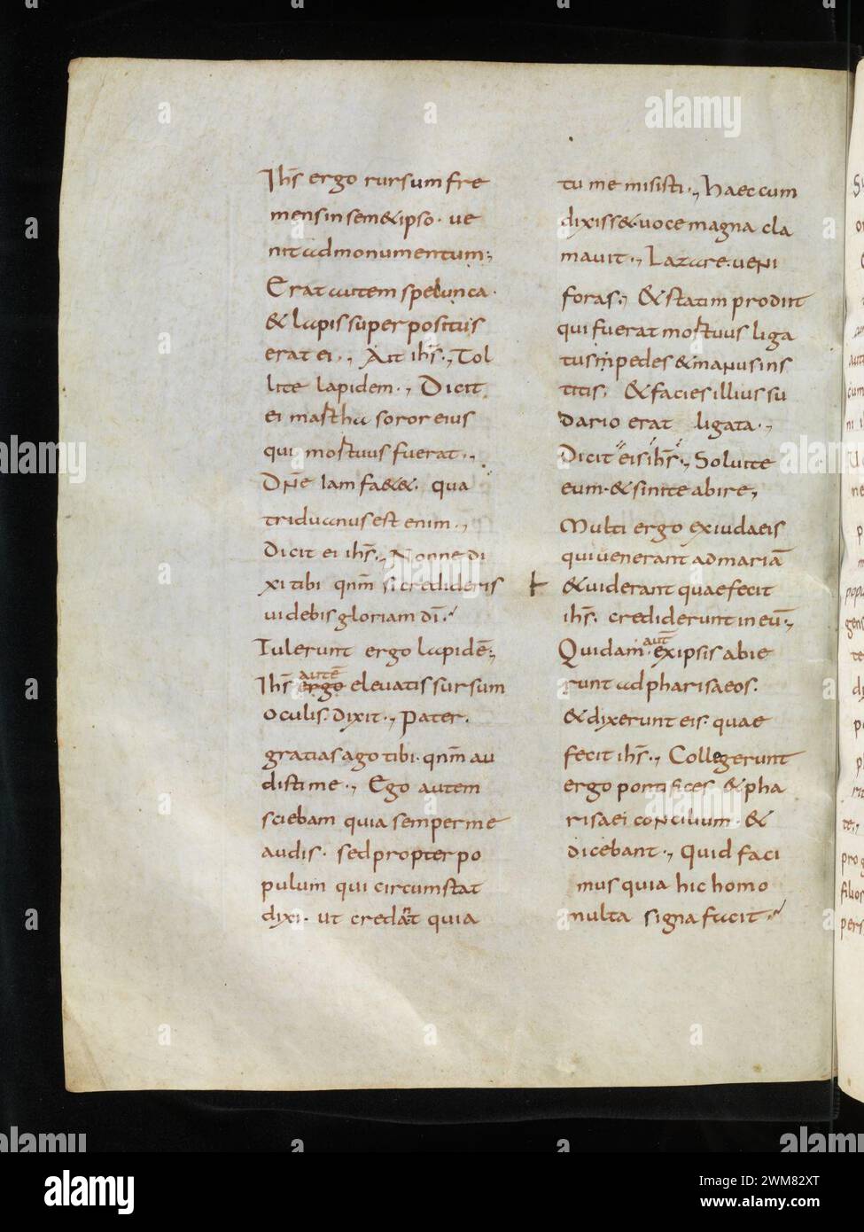 Cod. 348, f. 199v – Biblia Latina (Vulgata Evangelia Stock Photo - Alamy