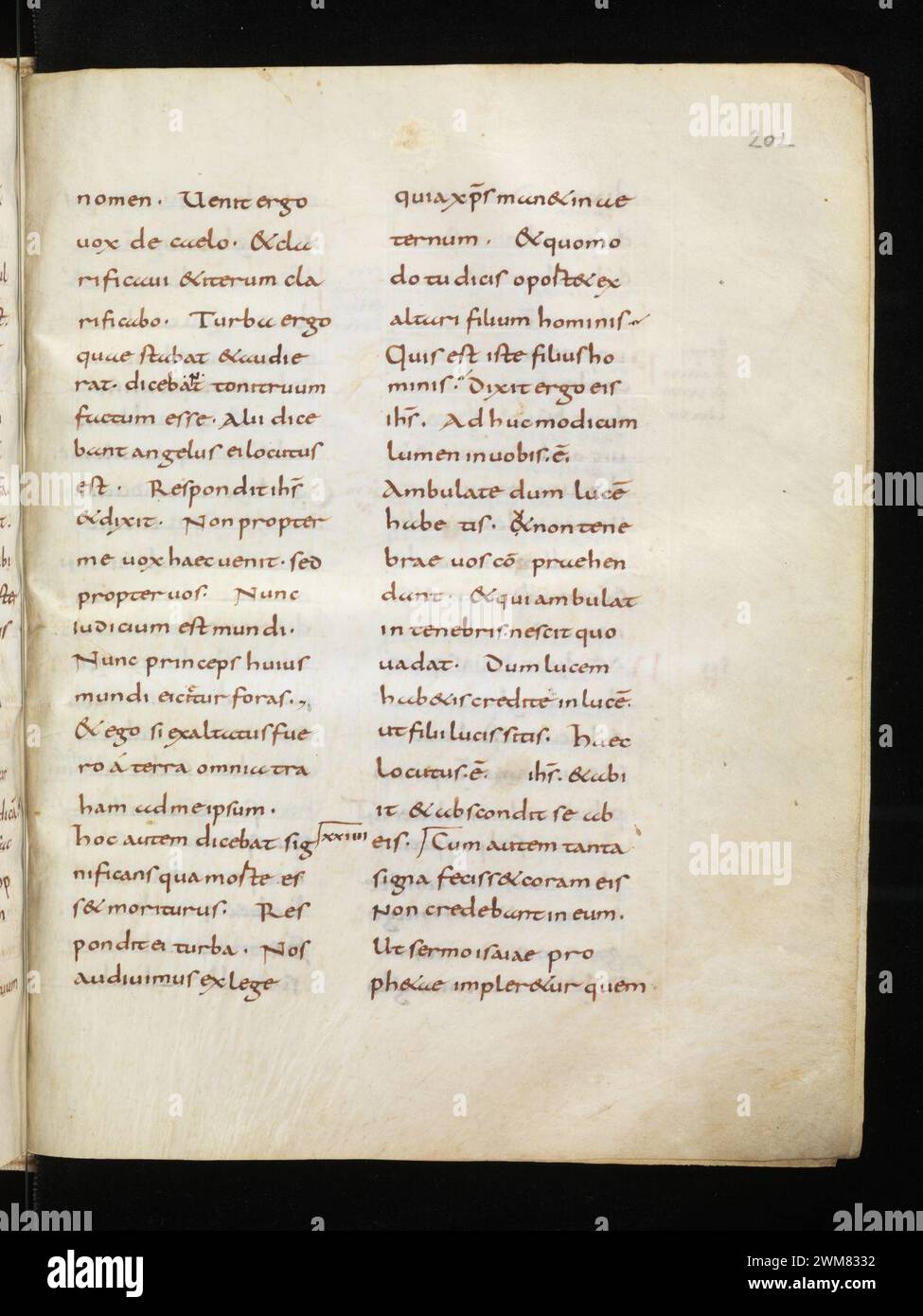 Cod. 348, f. 202r – Biblia Latina (Vulgata Evangelia Stock Photo - Alamy