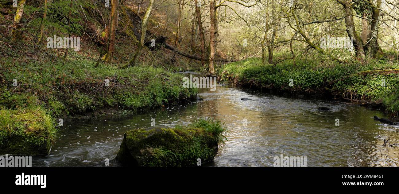 RIVER TEAM - Ousbrough Wood, Gateshead, Tyne & Wear, England Stock ...
