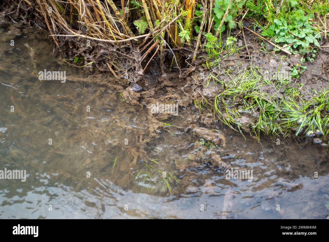 Uk sewage pipes in rivers hi-res stock photography and images - Alamy