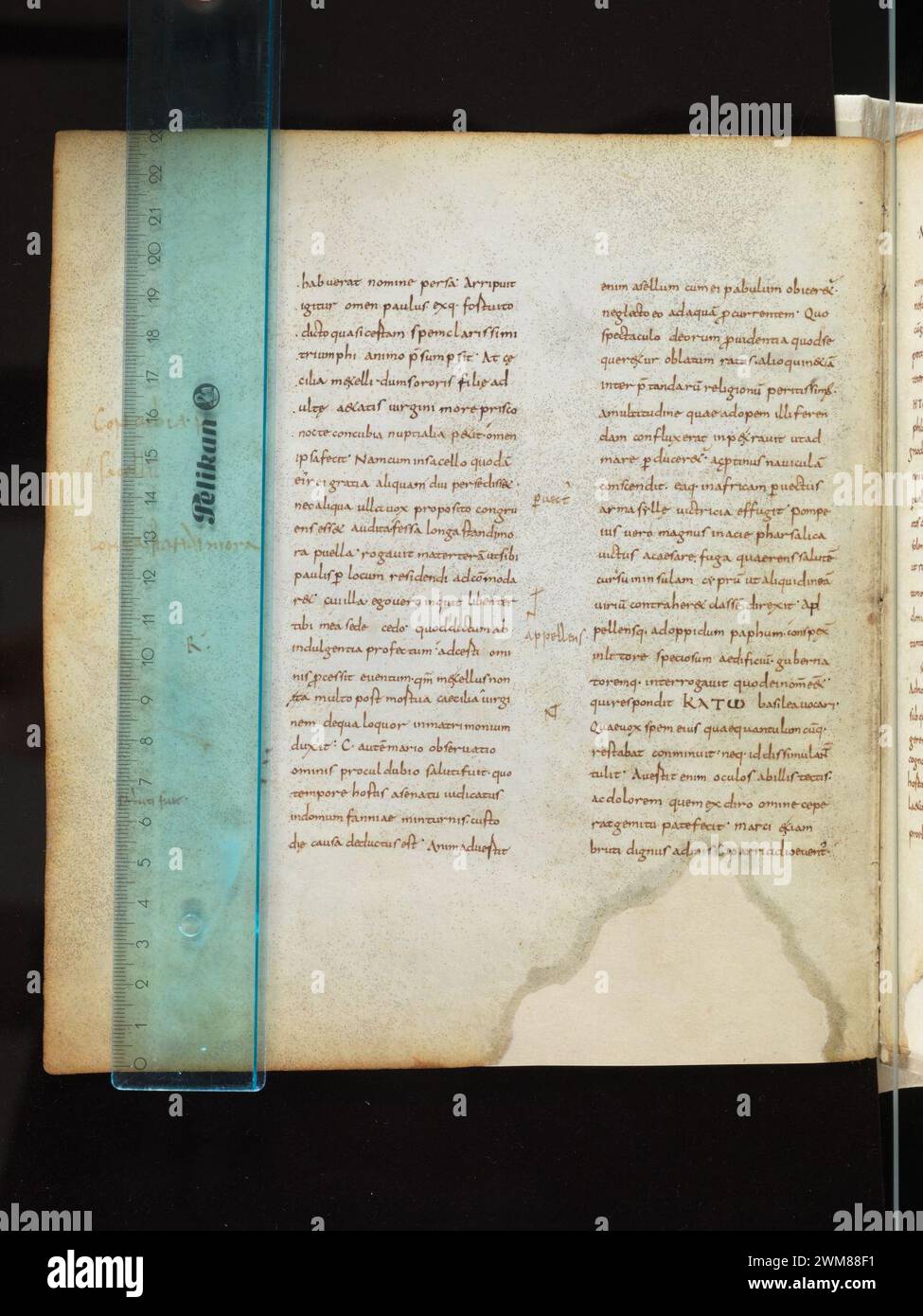 Cod. 366, Ruler on page – Valerius Maximus Facta et dicta memorabilia ...