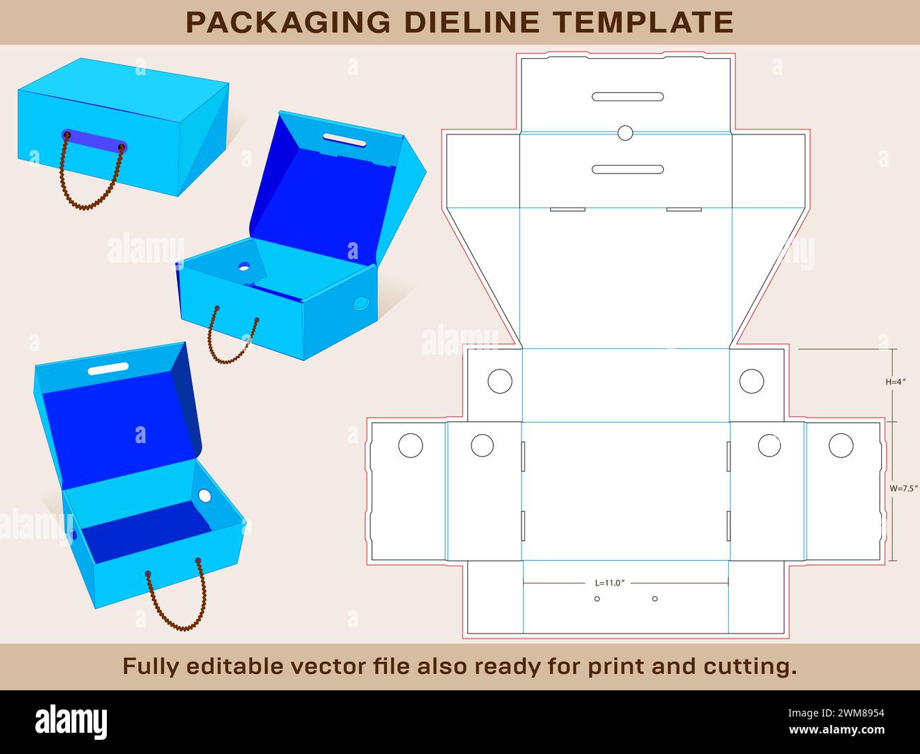 Rope Handle Shoe Box Dieline template of Small size 11 x 7.5 x 4 Inch ...