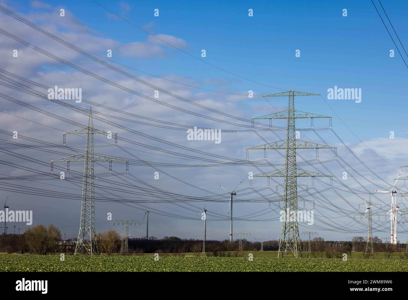 Strommasten einer Stromtrasse am 24. Februar 2024 bei Altlandsberg in ...