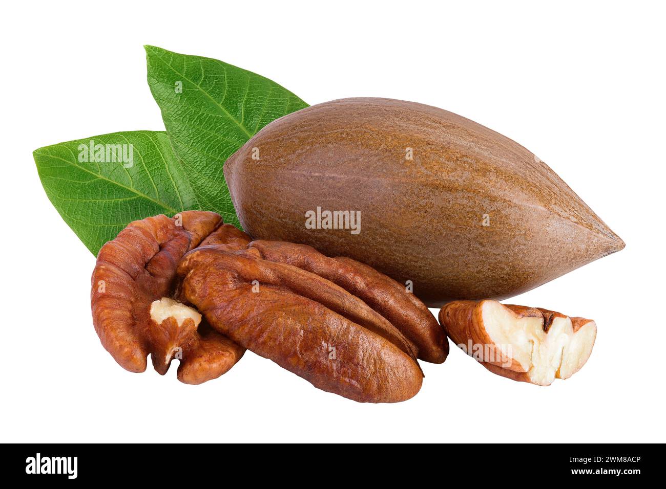 broken pecan nut isolated on white background with full depth of field ...