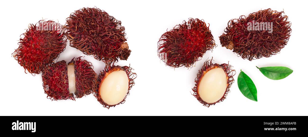 rambutan isolated on white background. Tropical fruit. Nephelium ...