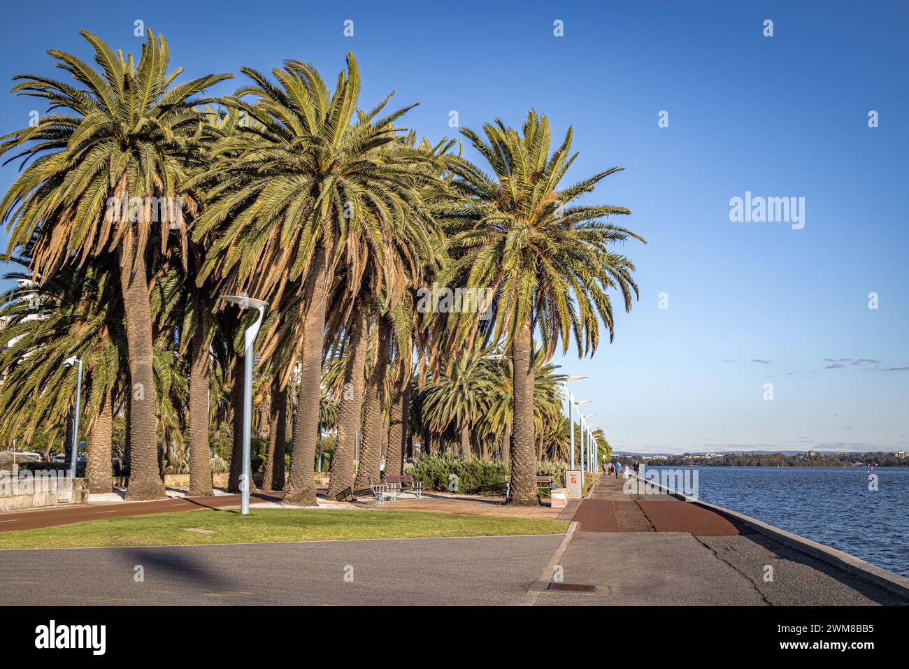 Swan River Loop walking trail, Perth, Western Australia, Australia ...
