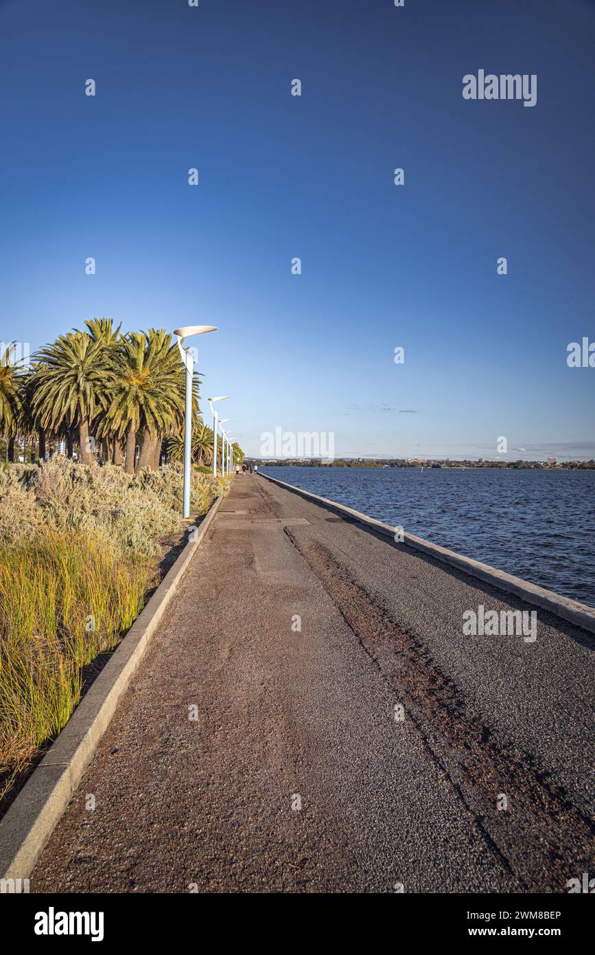 Palm tree loop hi-res stock photography and images - Alamy
