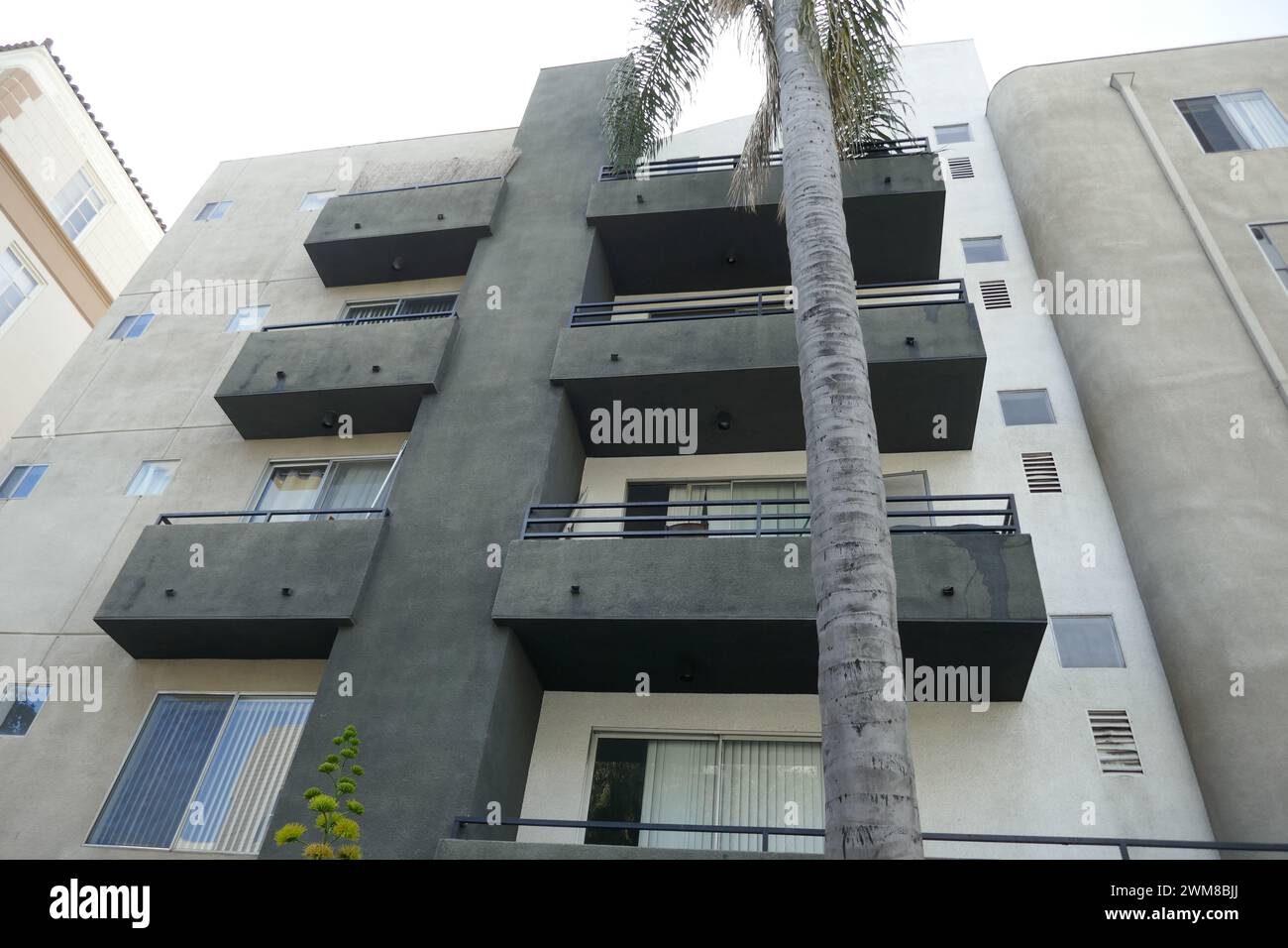 Los Angeles, California, USA 21st February 2024 Actor Anthony Cipolla ...